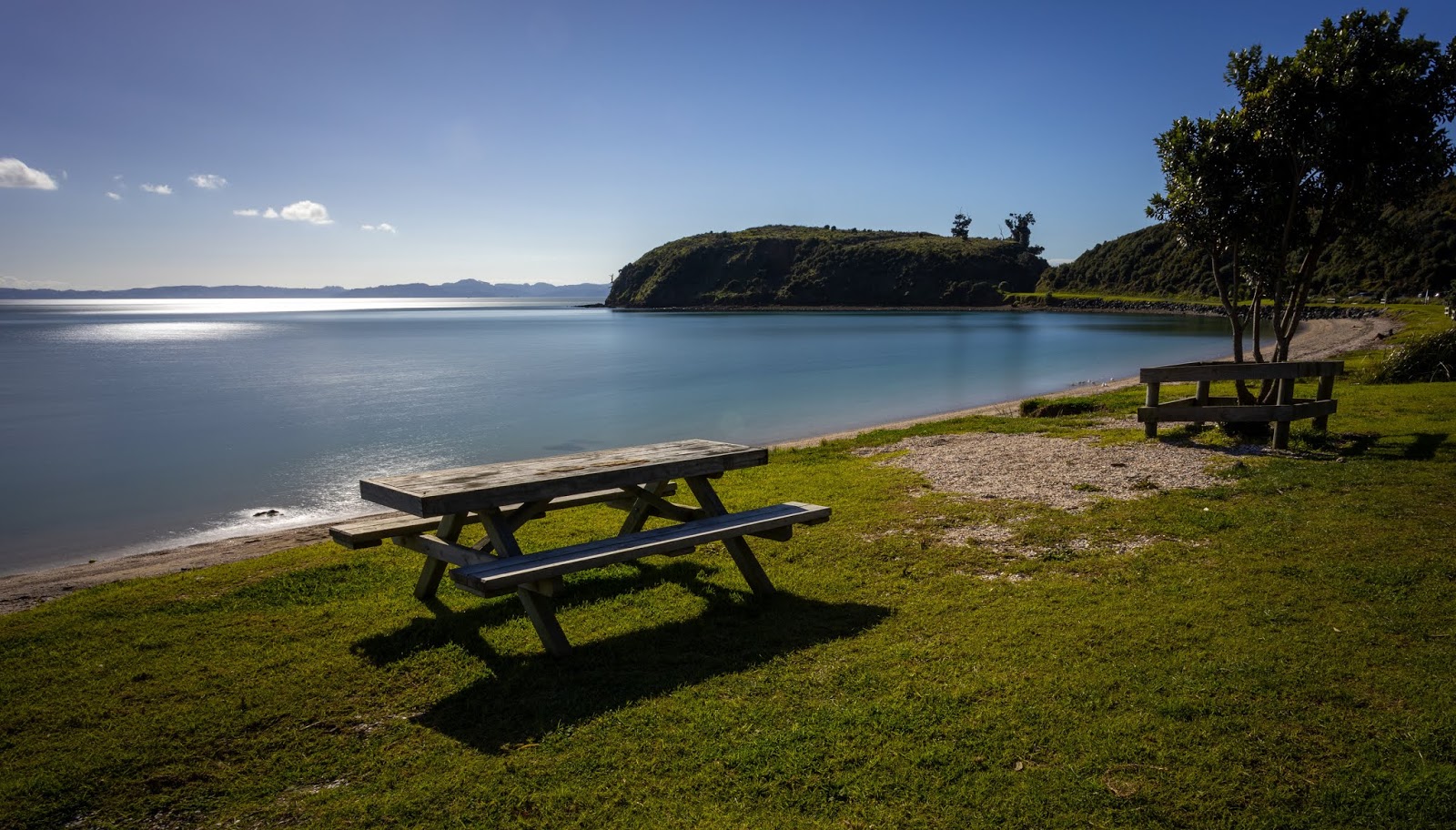 A Kiwi at the camera: Waitawa Regional Park