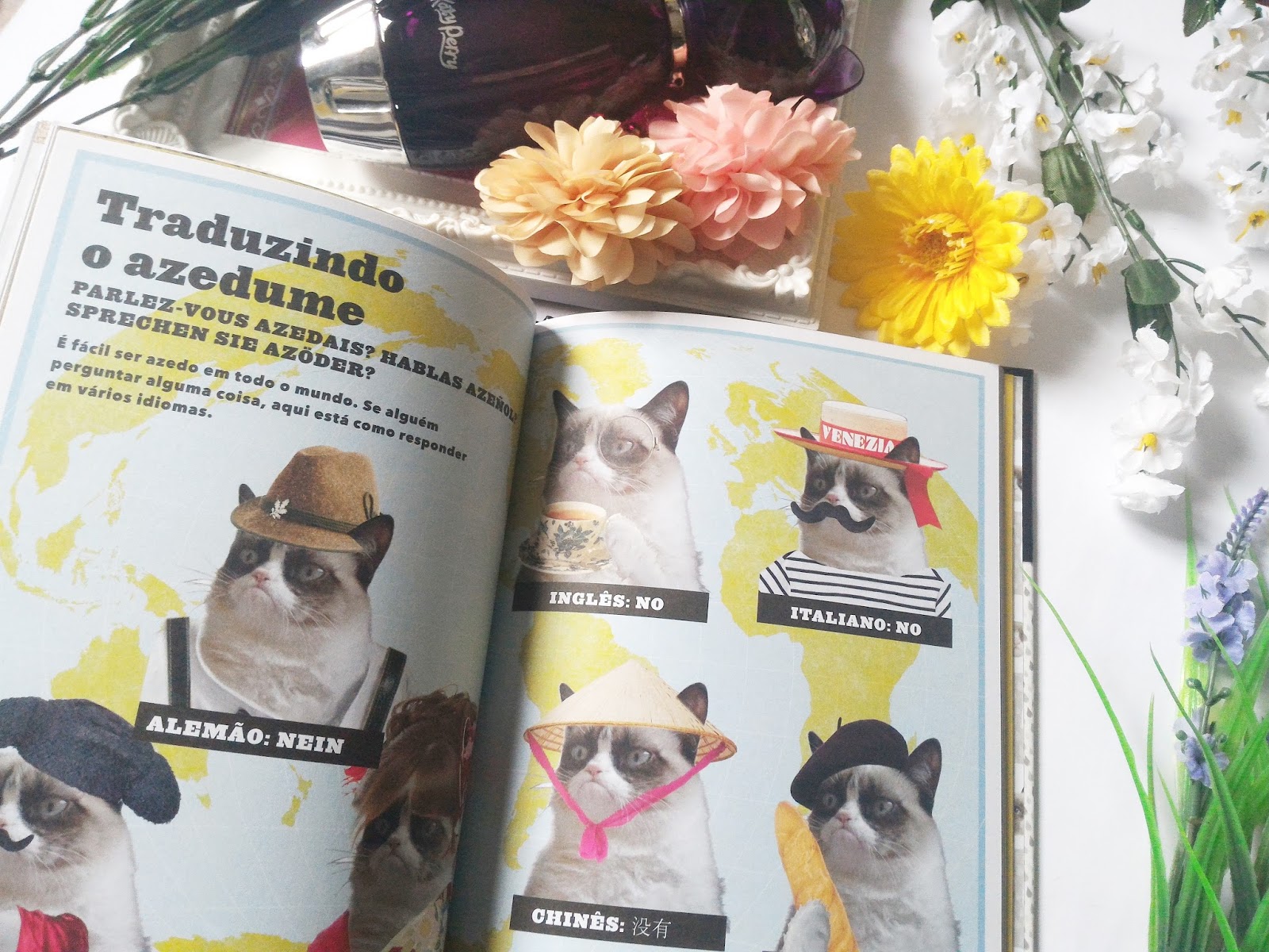 [Resenha #1145] Grumpy Cat - Um Livro Azedo @belasletras / Rotina Agridoce