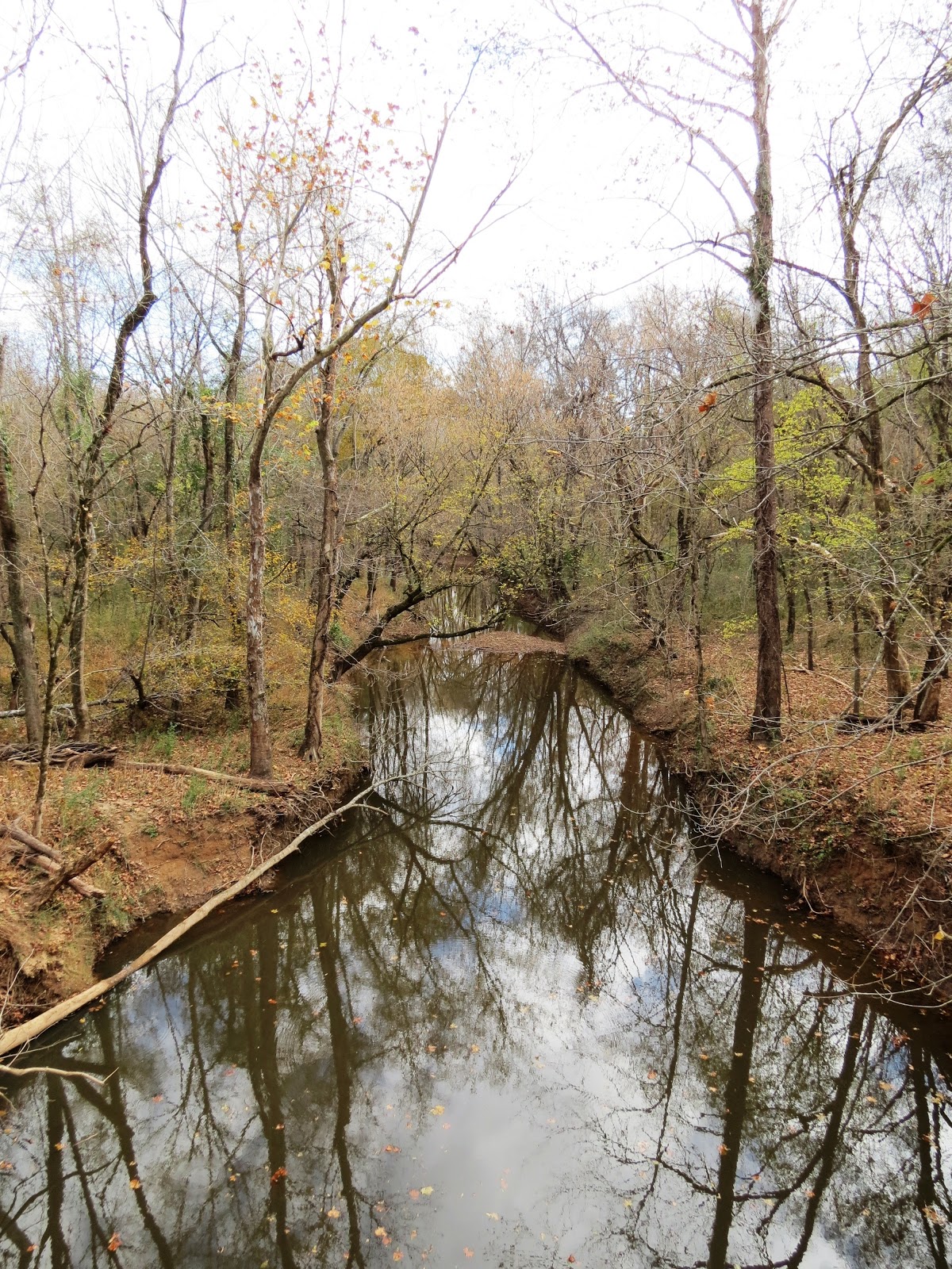 Another Take on Life, the World, and Adventure: 40 Acre Rock Heritage ...