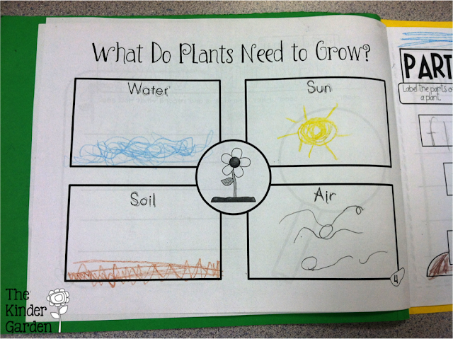 The Kinder Garden: Plants and Living Things {plus freebies!}