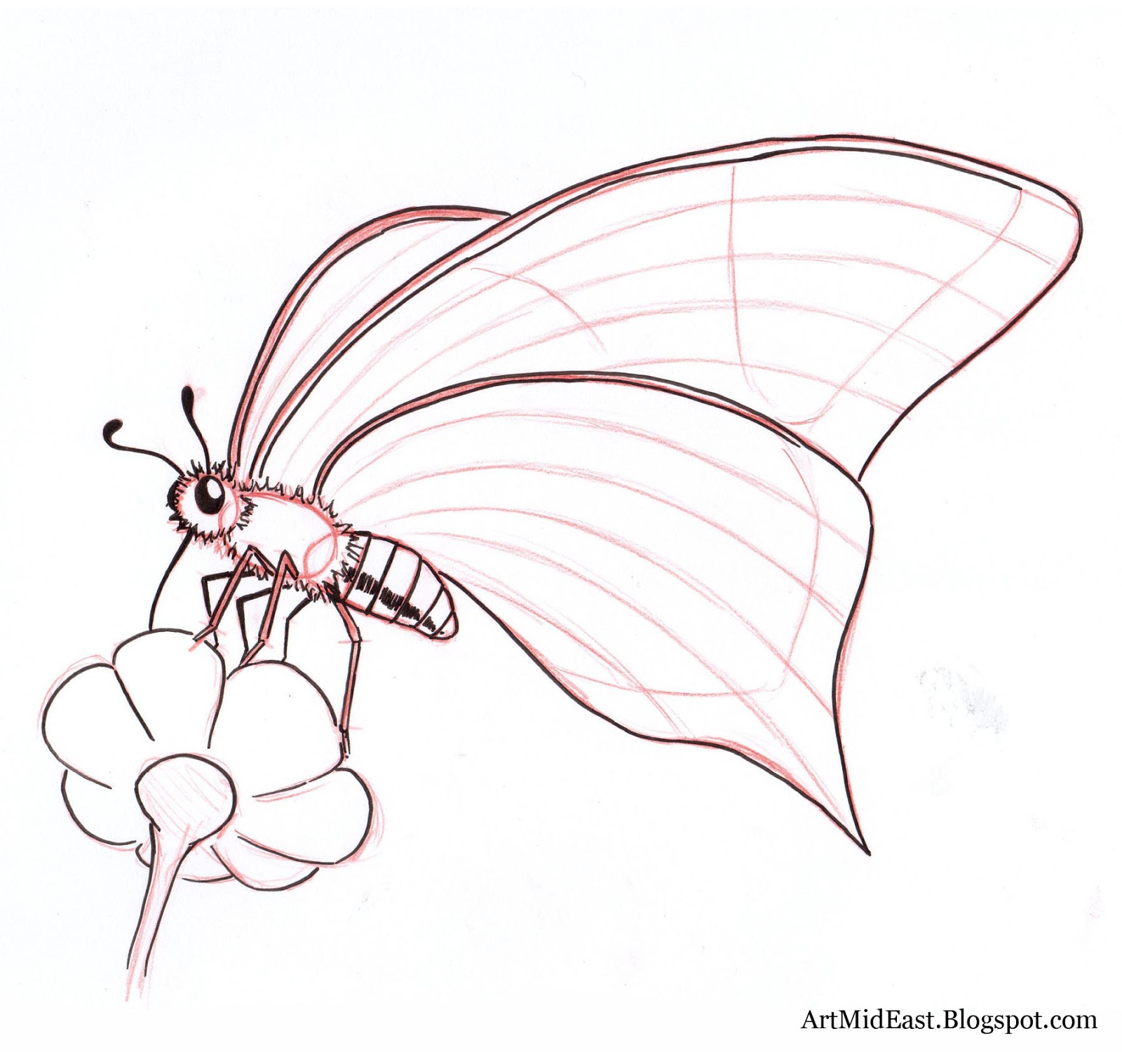 How to Draw a Butterfly: Step by step | Drawing Lessons