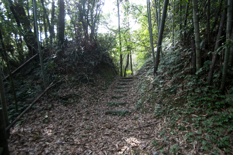 Sadowara Castle -Two-sided castle of two-sided domain- | Ken's Storage ...