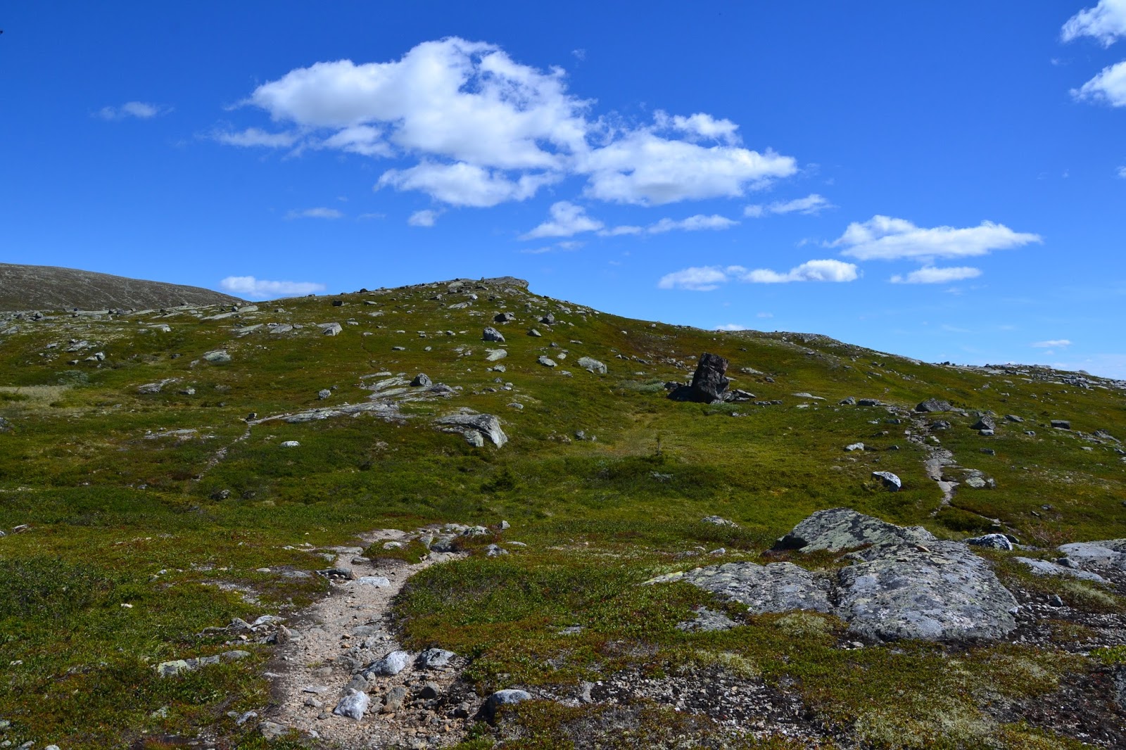 Rundtur Tempelseter - Ranten - Tempelseter 27.06.17