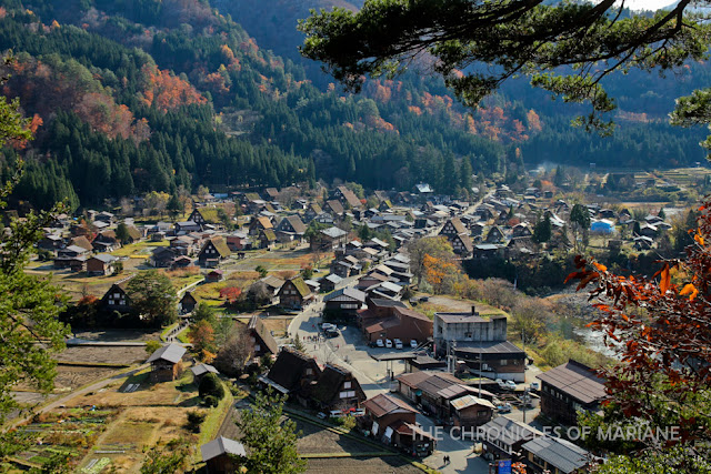 Our first taste of Altang at Jeju – Day 11 in South Korea | The ...