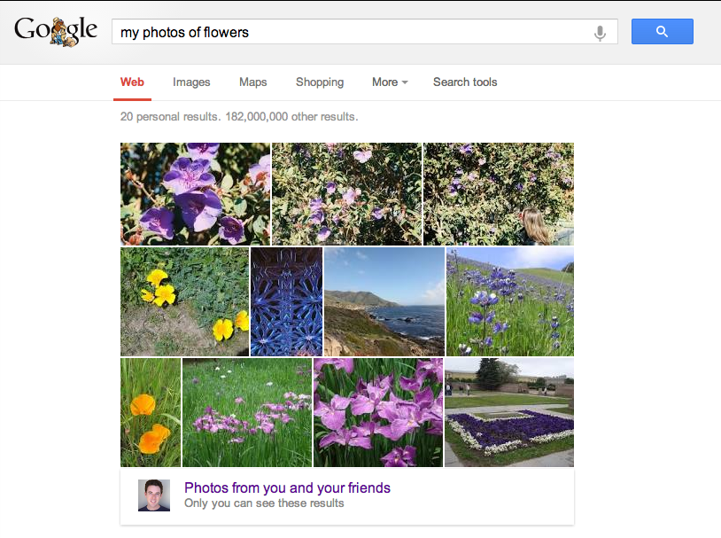 Inside Search: Finding your photos more easily with Google Search