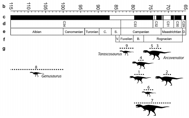 Un nuevo terópodo del Cretácico Superior francés: Arcovenator ...