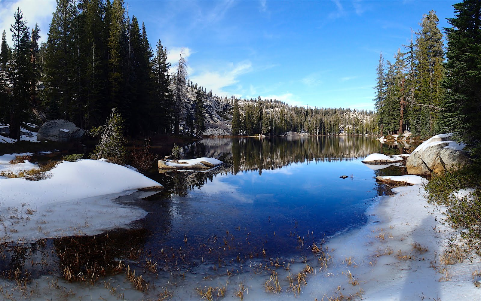 NorCal Dog Trails: Jackass Lakes