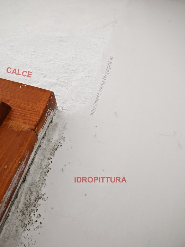 Le avventure della mia fantasia: Calce contro muffa: risultati dell ...