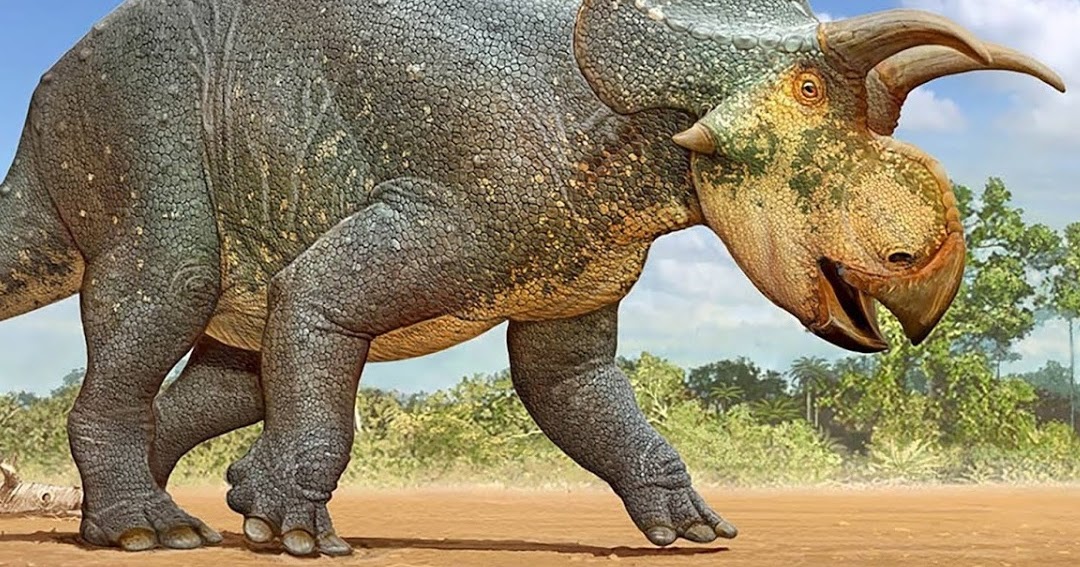 Species New to Science: [Paleontology • 2018] Crittendenceratops ...