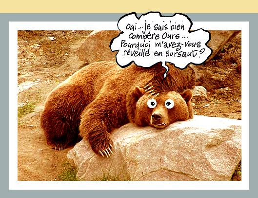 Claude Dubois - SYLVAIN, SYLVETTE... HUMOUR... etc...: mai 2013