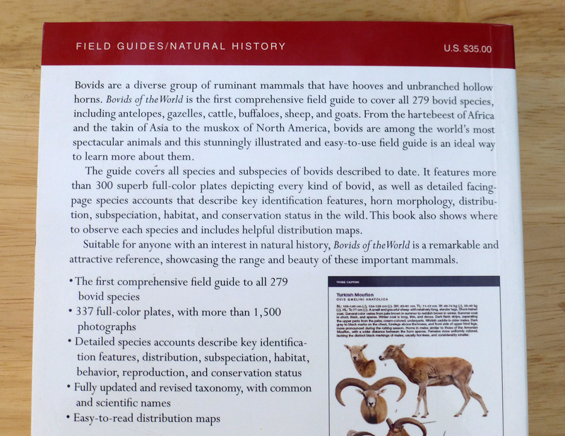 Bovines of the world by Jose R Castello Book Review | Gadget Review