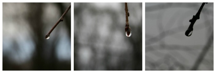 52 Photos Project: photo assignment: one subject at different angles