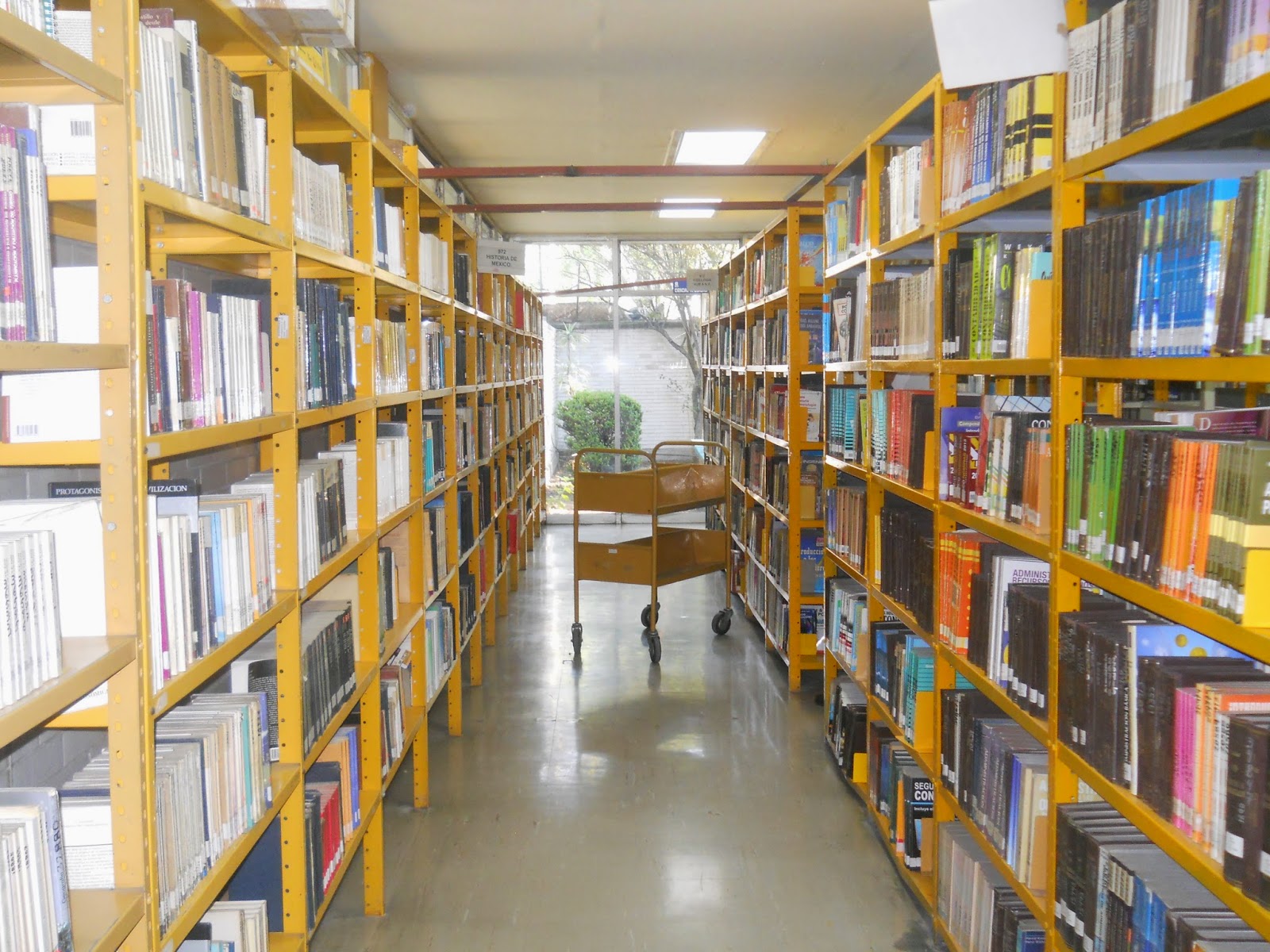 COLEGIO DE BACHILLERES P. 06 "VICENTE GUERRERO" LIC. JESUS GONZALEZ ...