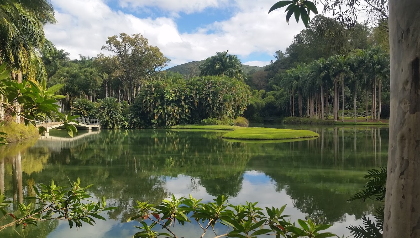 Diário de bordo: Inhotim