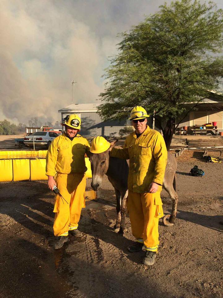 GLOBAL AWARENESS 101 - Let your VOICE be heard and get involved. OUR ...