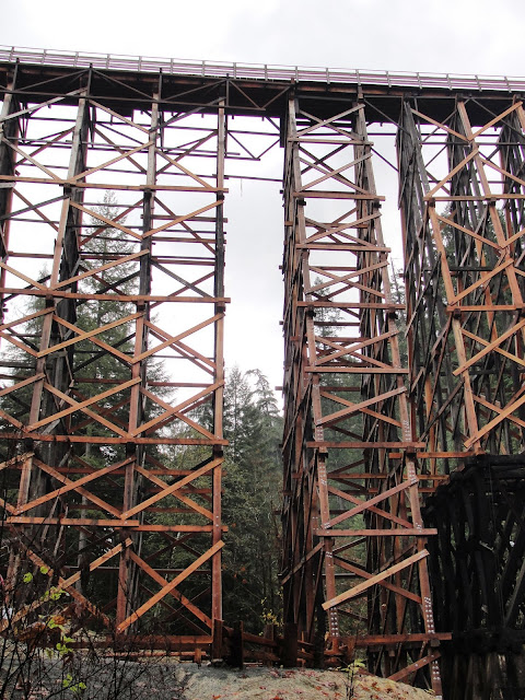 My life with the critters: Hiking without dogs - Kinsol Trestle