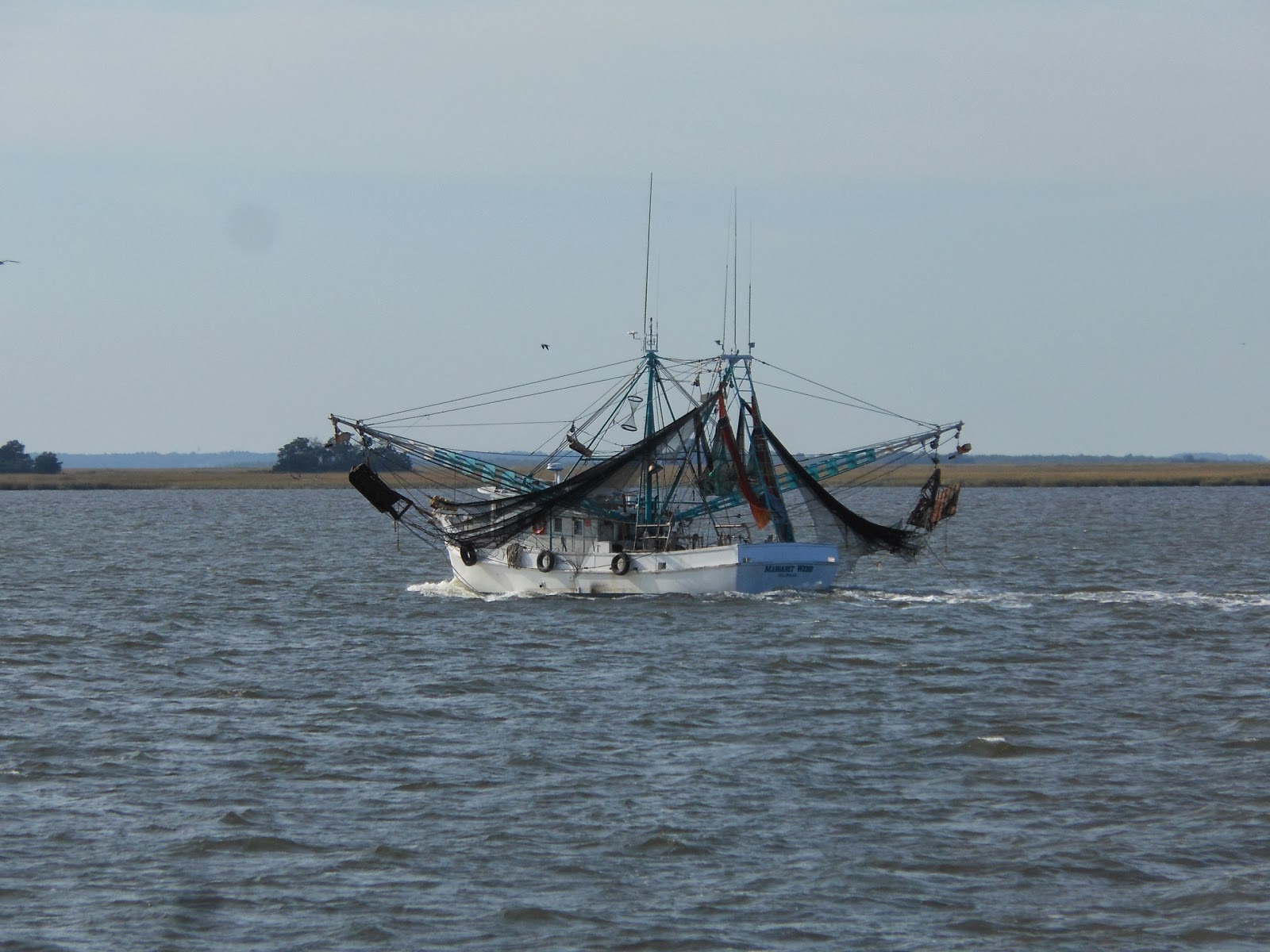 Julie and Randy: Ferry ride to Sapelo Island