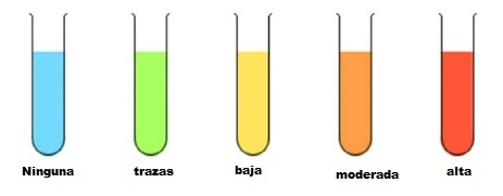 BIOFORO: Prueba de Benedict para Carbohidratos simples (Monosacáridos)