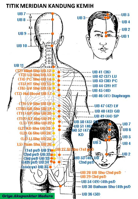 MAKLUMAT KESIHATAN DAN PENYAKIT: MERIDIAN AKUPUNTUR