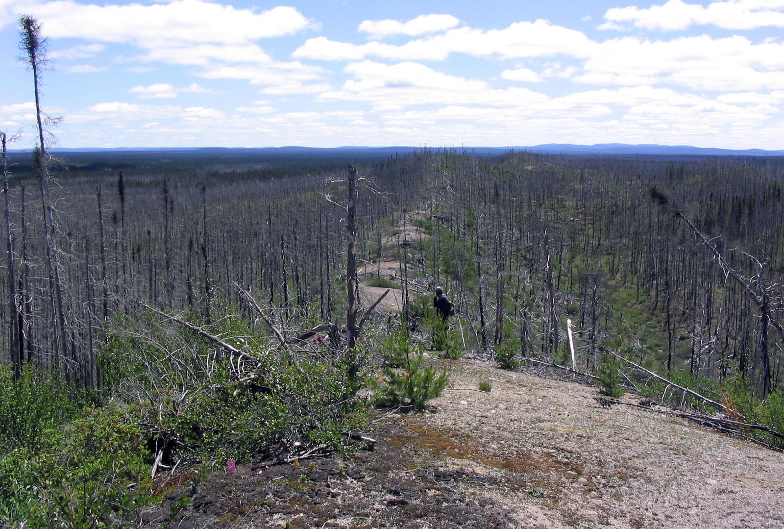 Elfshot: Plans and Profiles: Scott Neilsen Researching the Aboriginal ...