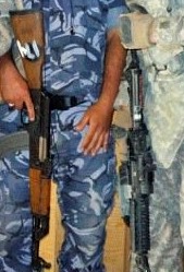 Gun Control Arguments