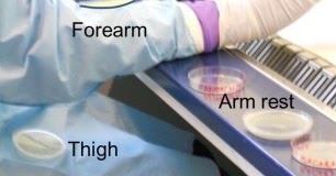 Use of RODAC plates to measure containment of Mycobacterium # ...