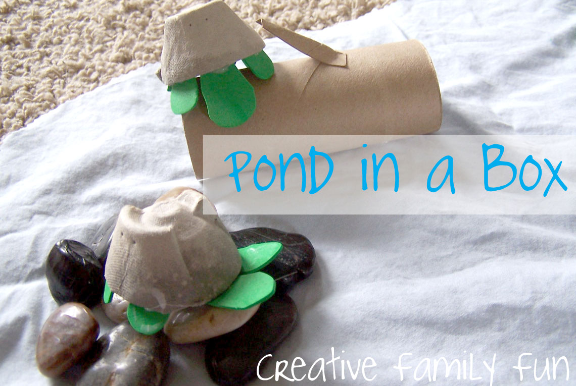 Pond in a Box - Creative Family Fun