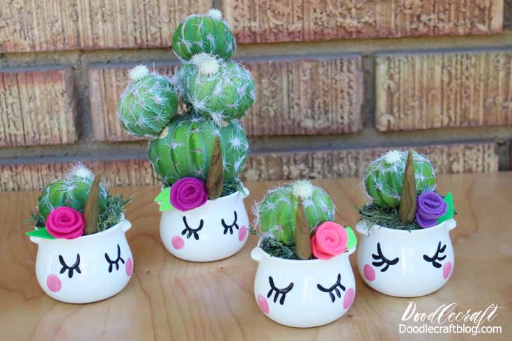 Unicorn Cactus Flower Planter Pots Craft/DIY