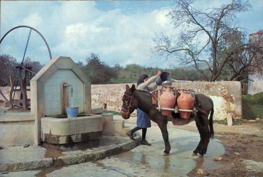 Algarve Encantado: Postais do Algarve - Transporte típico de água