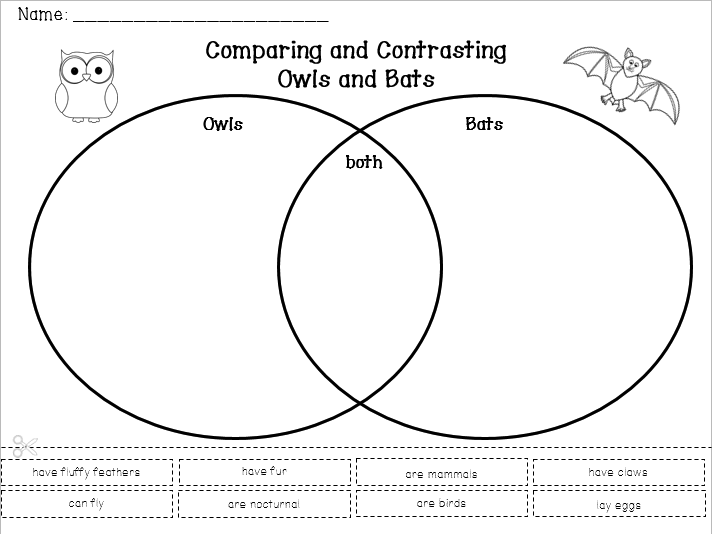 Enchanting Classroom: More and More Bats!