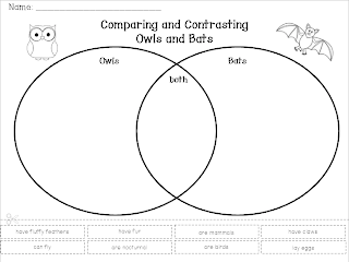 Enchanting Classroom: More and More Bats!