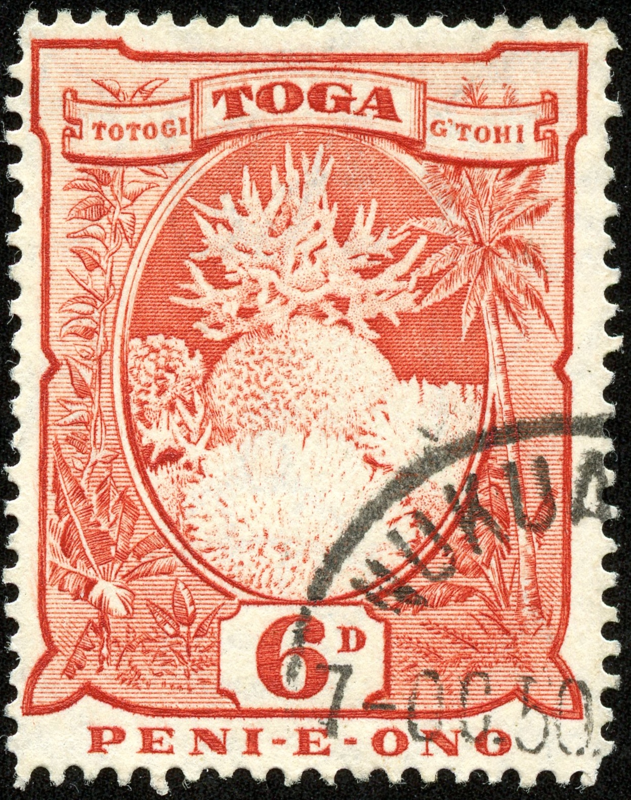 Big Blue 1840-1940: Tonga