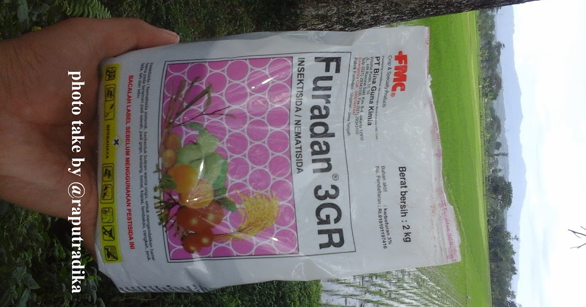 Sains: Mengenal Pestisida dan Jenis-Jenis Pestisida - Glosaria.com