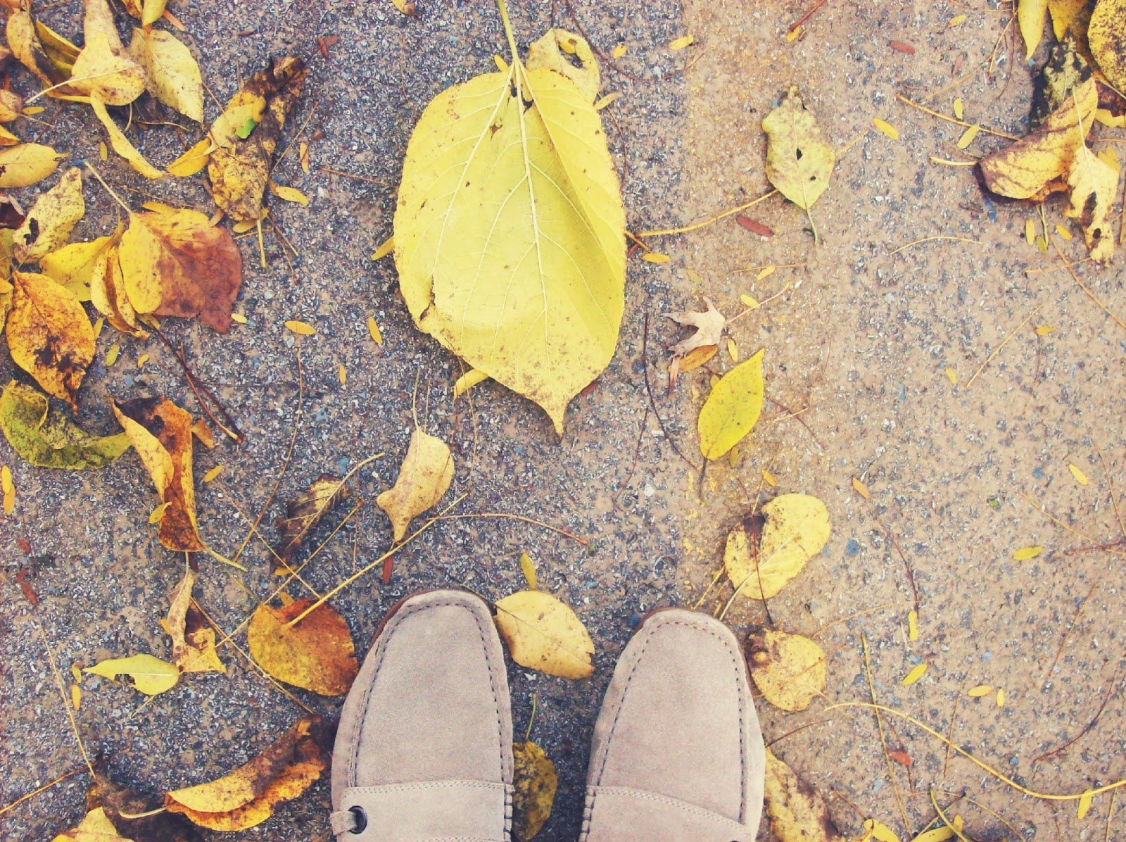 Graphic Design Time: Dominance of Design Element