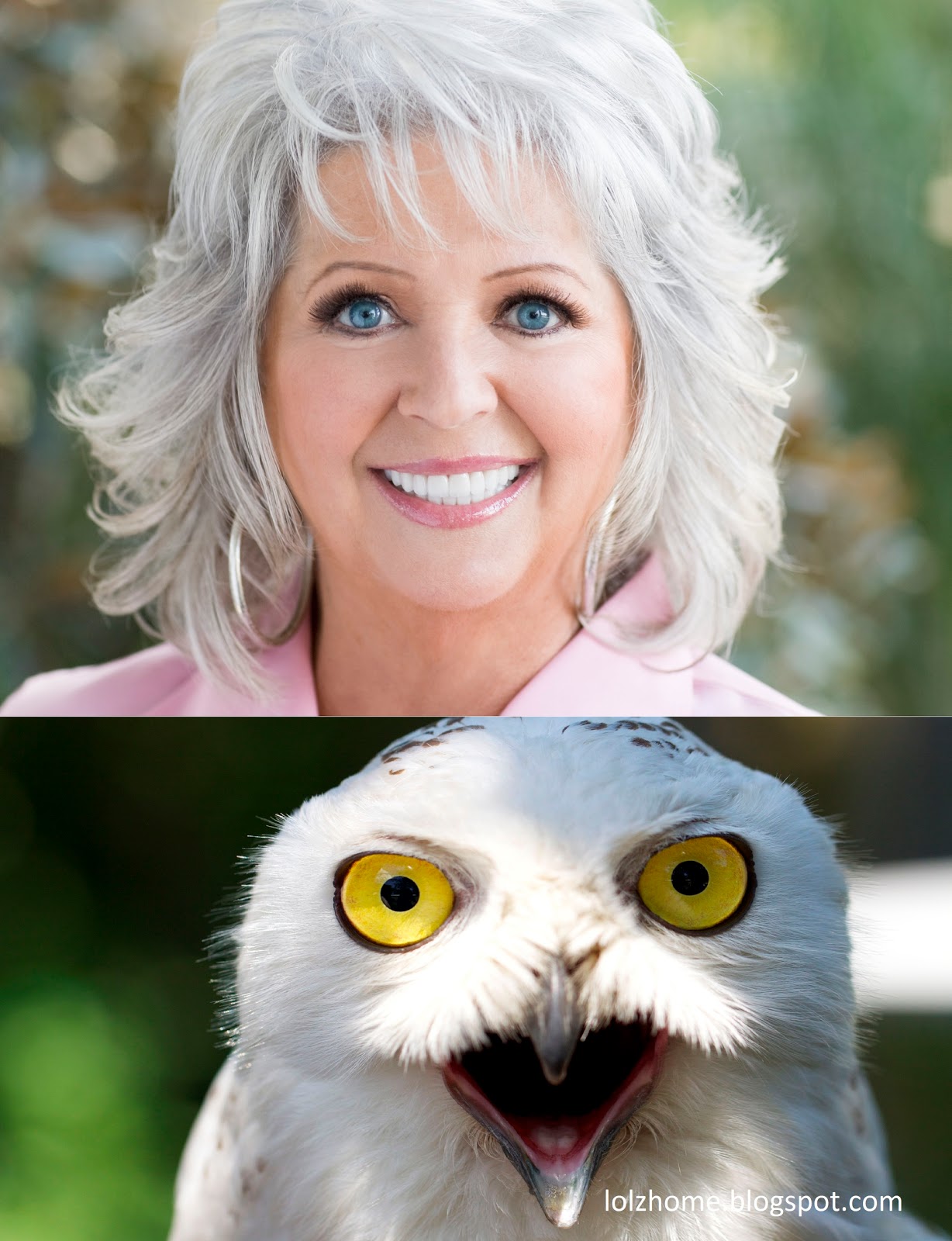 funny images: Funny Pics part 2