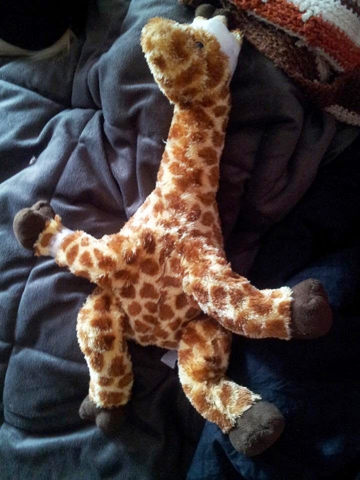 The Misadventures of Raffe the Giraffe