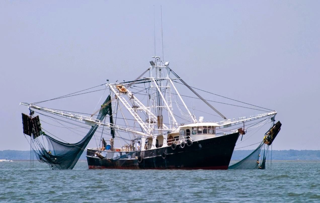 Imparare con la Geografia: 22 La pesca