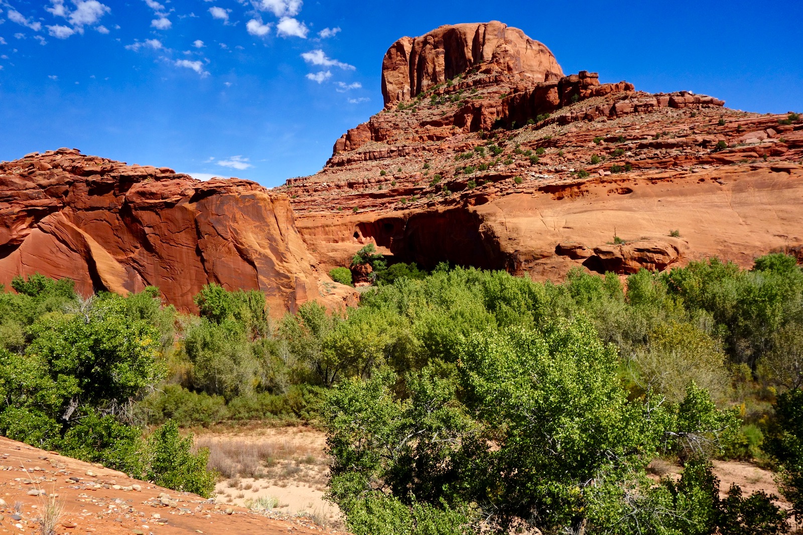Earthline: The American West: The Golden Cathedral of Neon Canyon