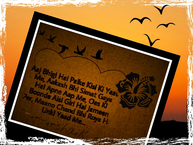 SHAYARI BOOK: SHAYARI WALLPAPERS