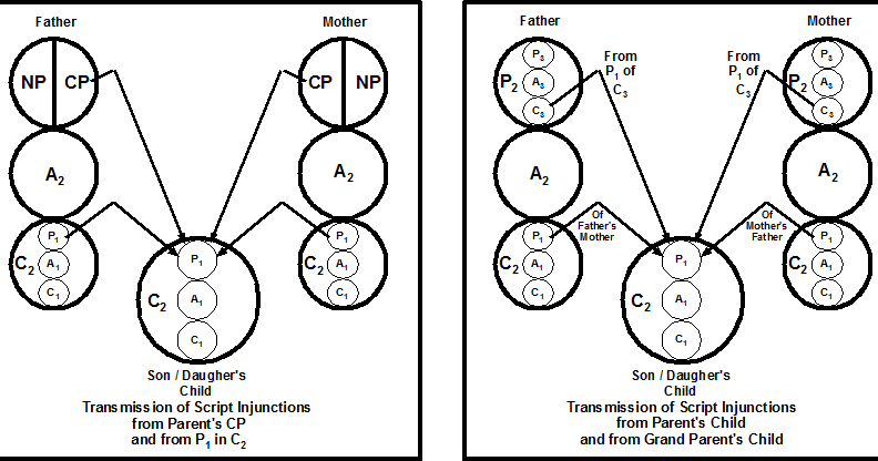Transactional Analysis Theory and Practice: Transactional Analysis Theory - The Script Apparatus