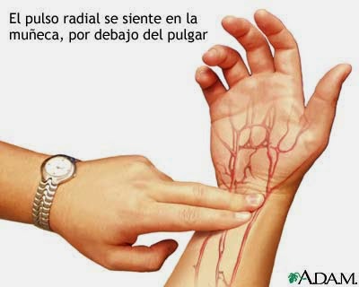 signos vitales: TEMPERATURA Y PULSO