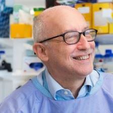 Central Clinical School News Blog: What's on at CCS 16-20 Oct 2017