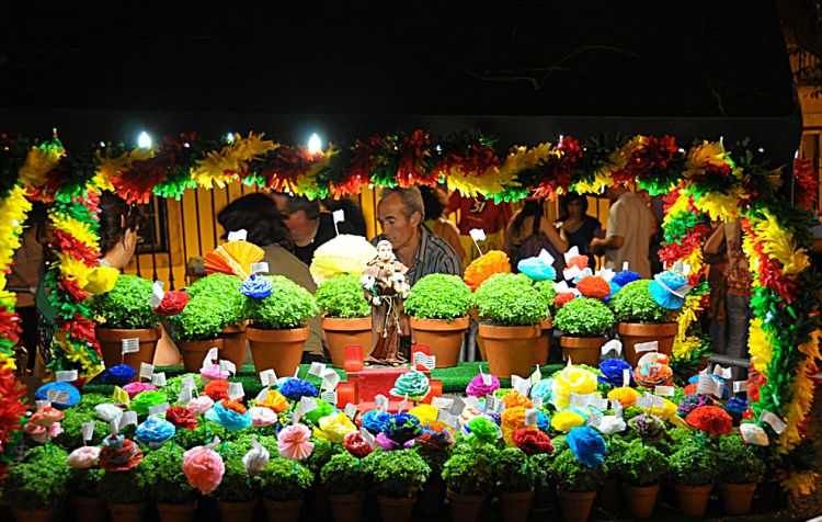 Lume & Ar: Lisboa dos Manjericos