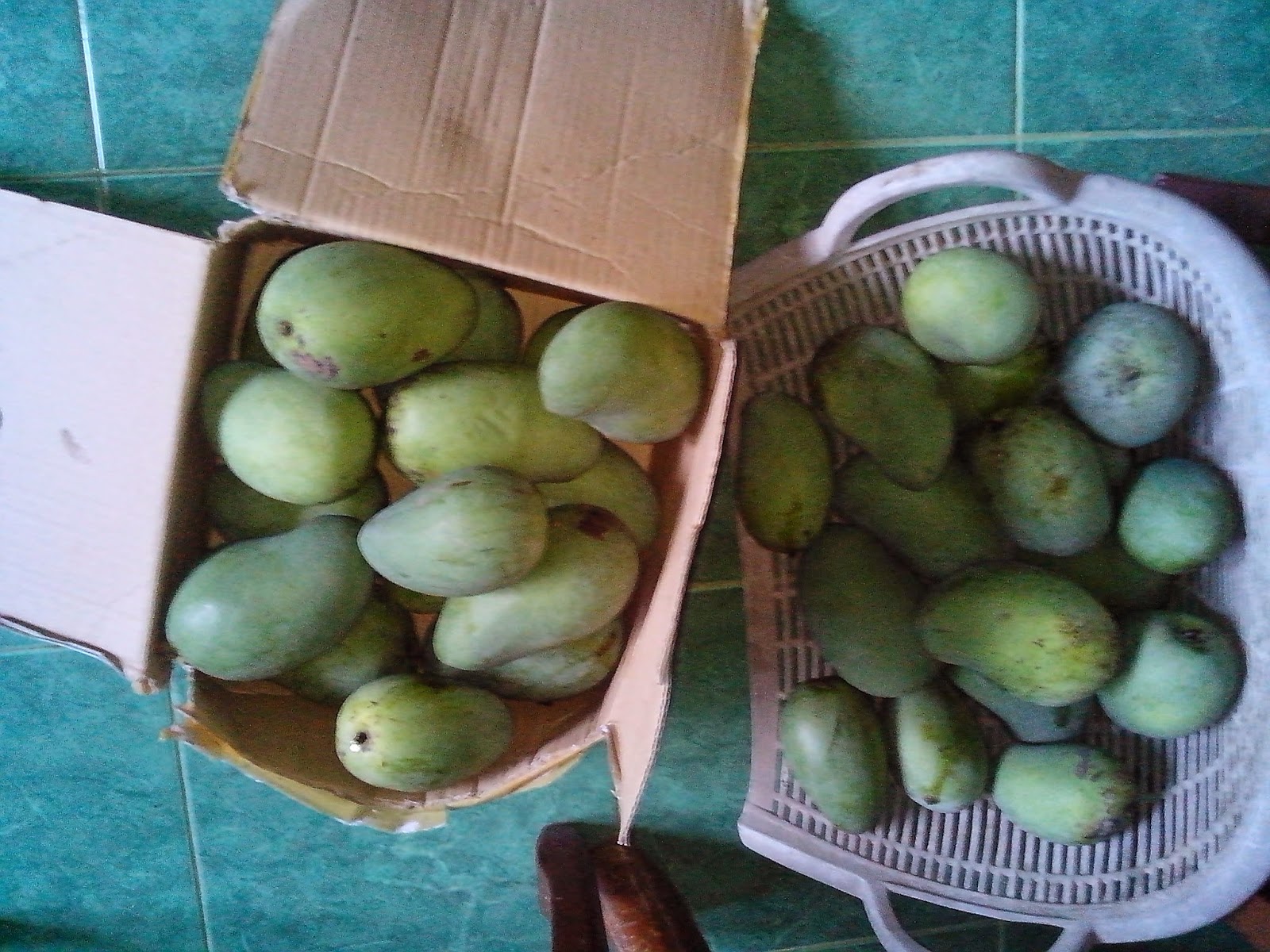 TERATAK MANIS BAIZURA: HARUM MANIS