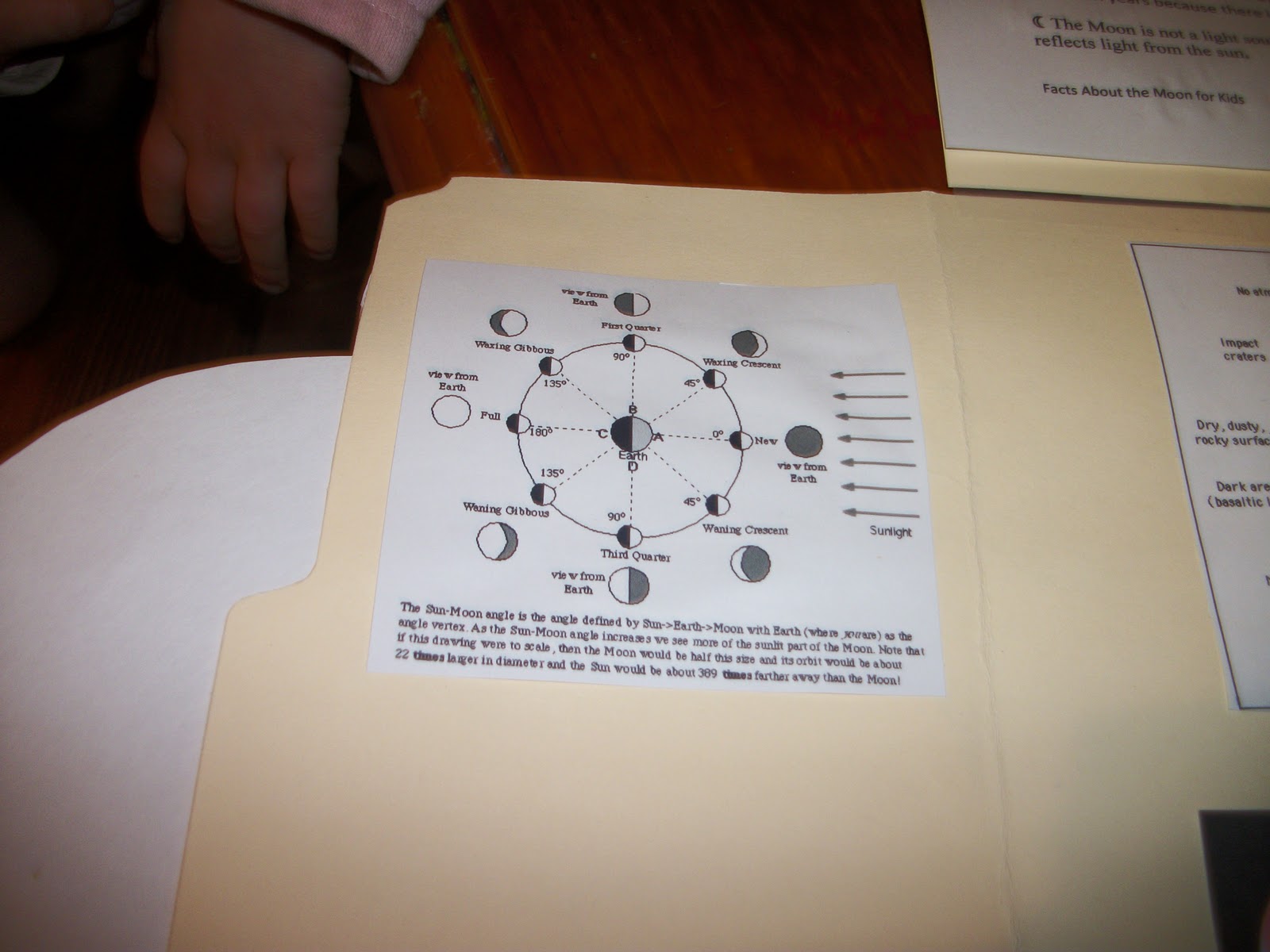 Back to Square One: Lapbooks: One of the GREATEST Homeschooling Tools ...