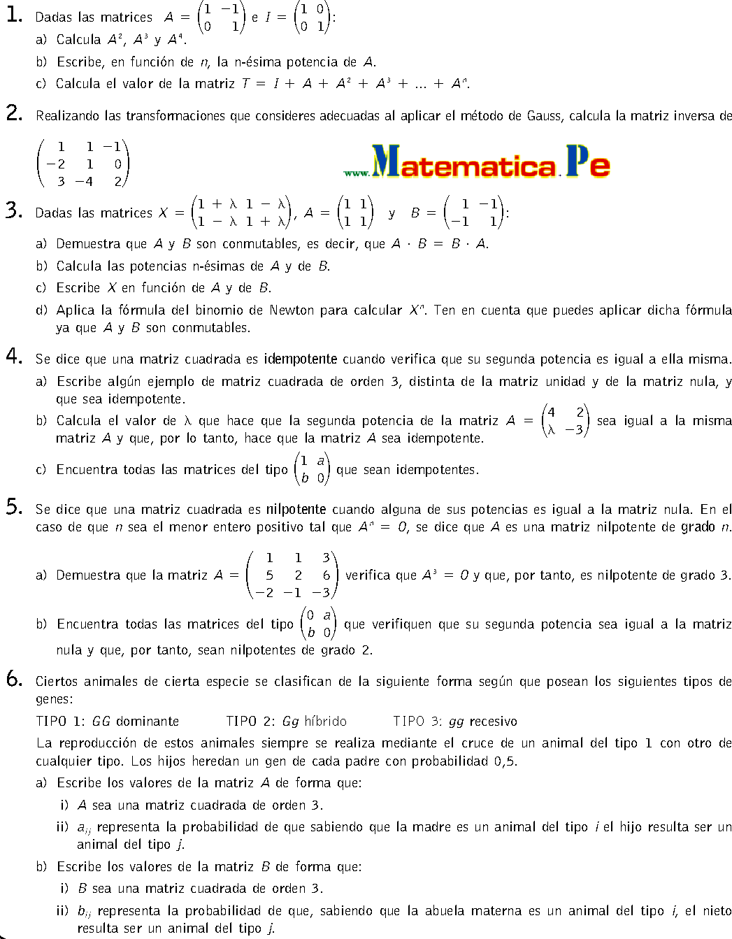 Ejercicios Resueltos De Matrices