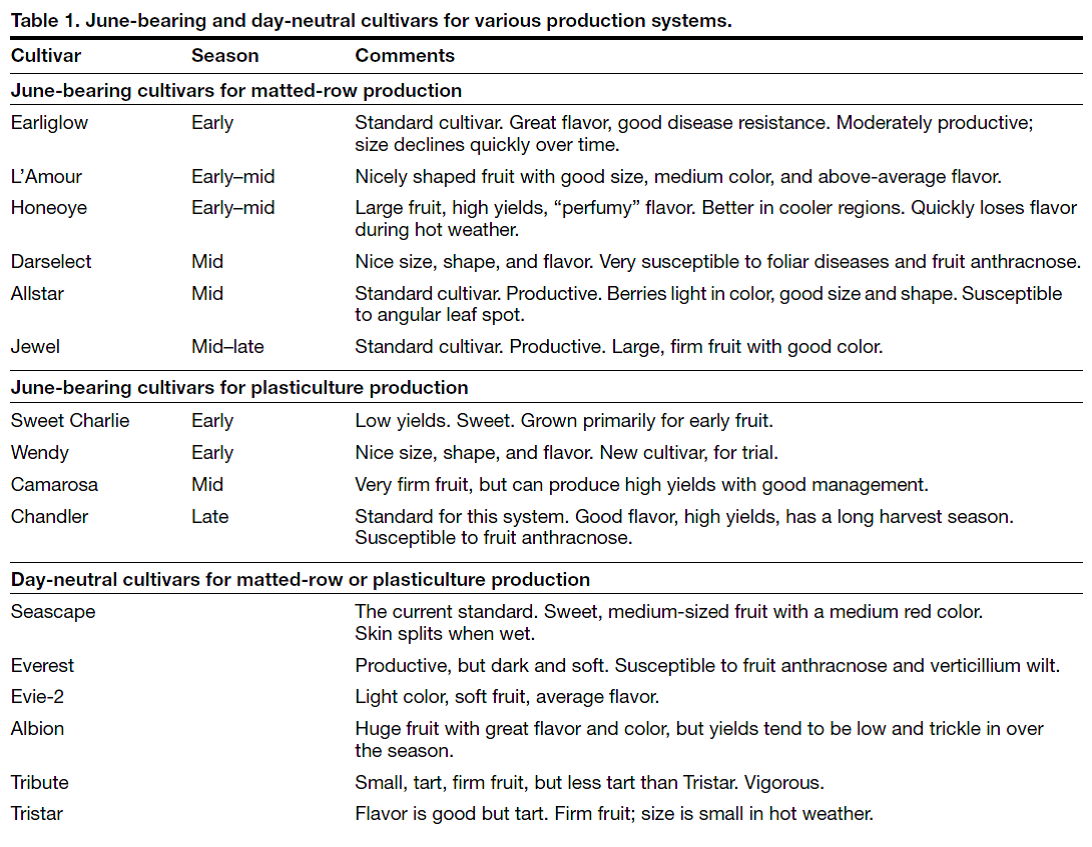 Open Gates: A Glimpse at Local Agriculture: This week at the market ...