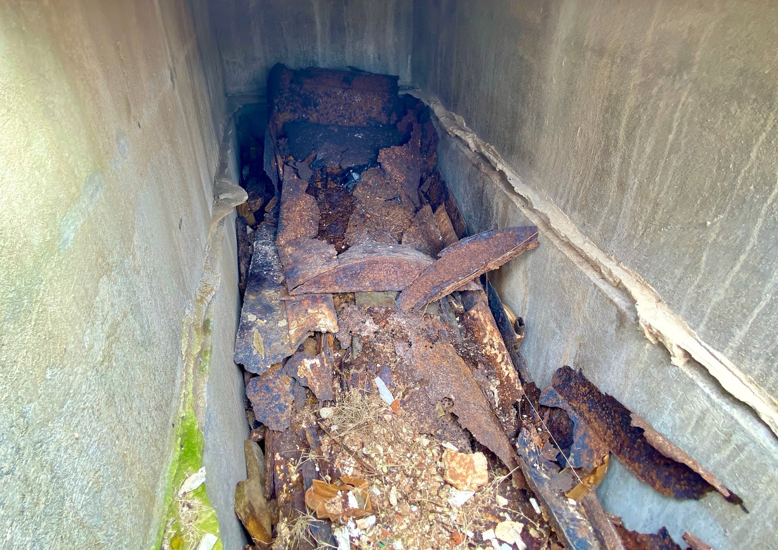 Things we did today...: March 2020