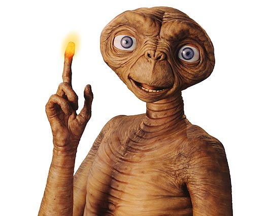 Expat Mum: Glow-in-the-dark loo seats