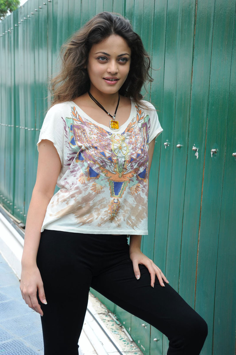 Sneha Ullal Latest Photo Shoot Stills
